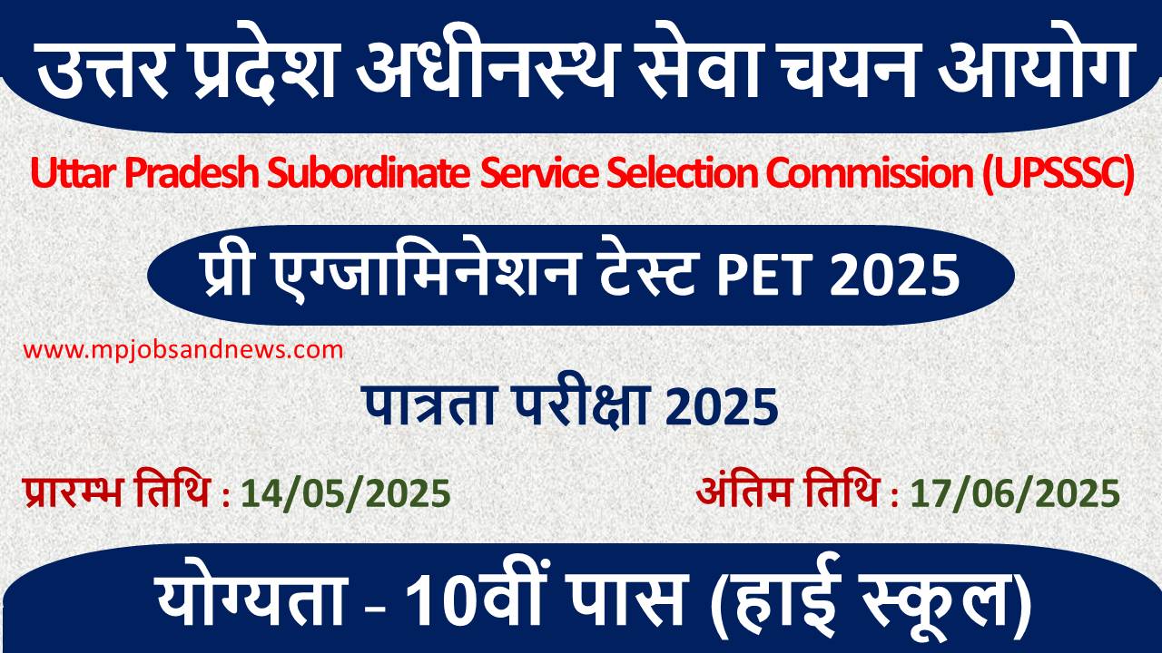 mp-jobs-and-news